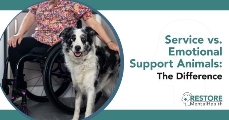 Service vs. Emotional Support Animals: The Difference - Restore Mental ...